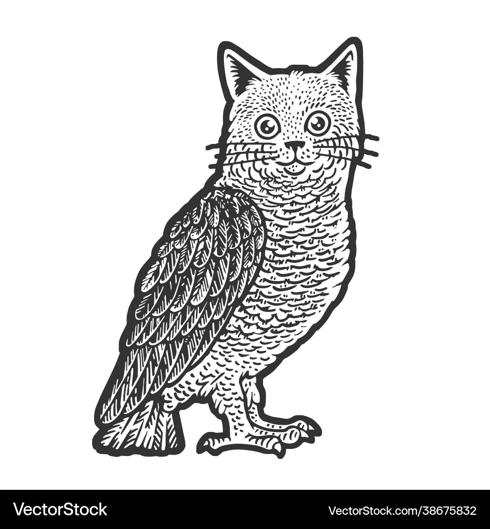 Owl with cat head line art sketch Royalty Free Vector Image