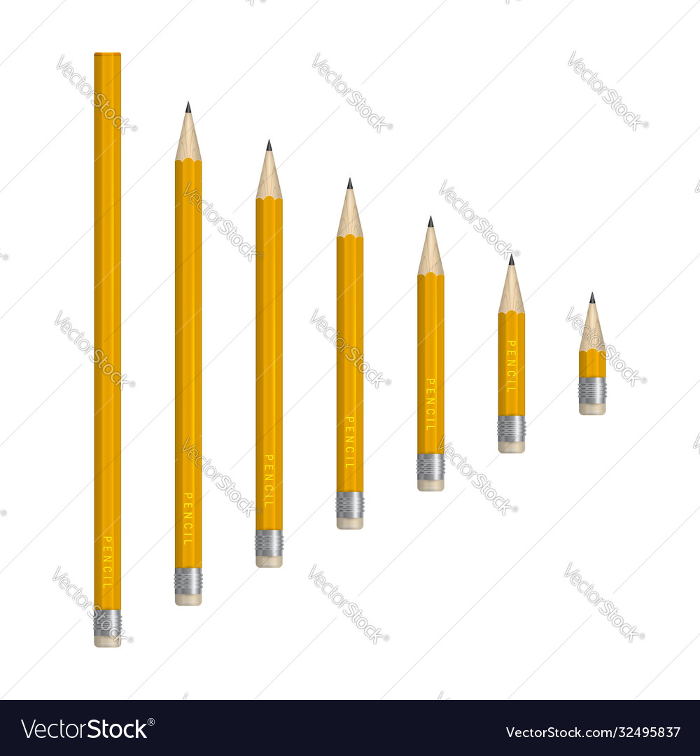 A set pencils different lengths arranged Vector Image A set pencils different lengths arranged Vector Image