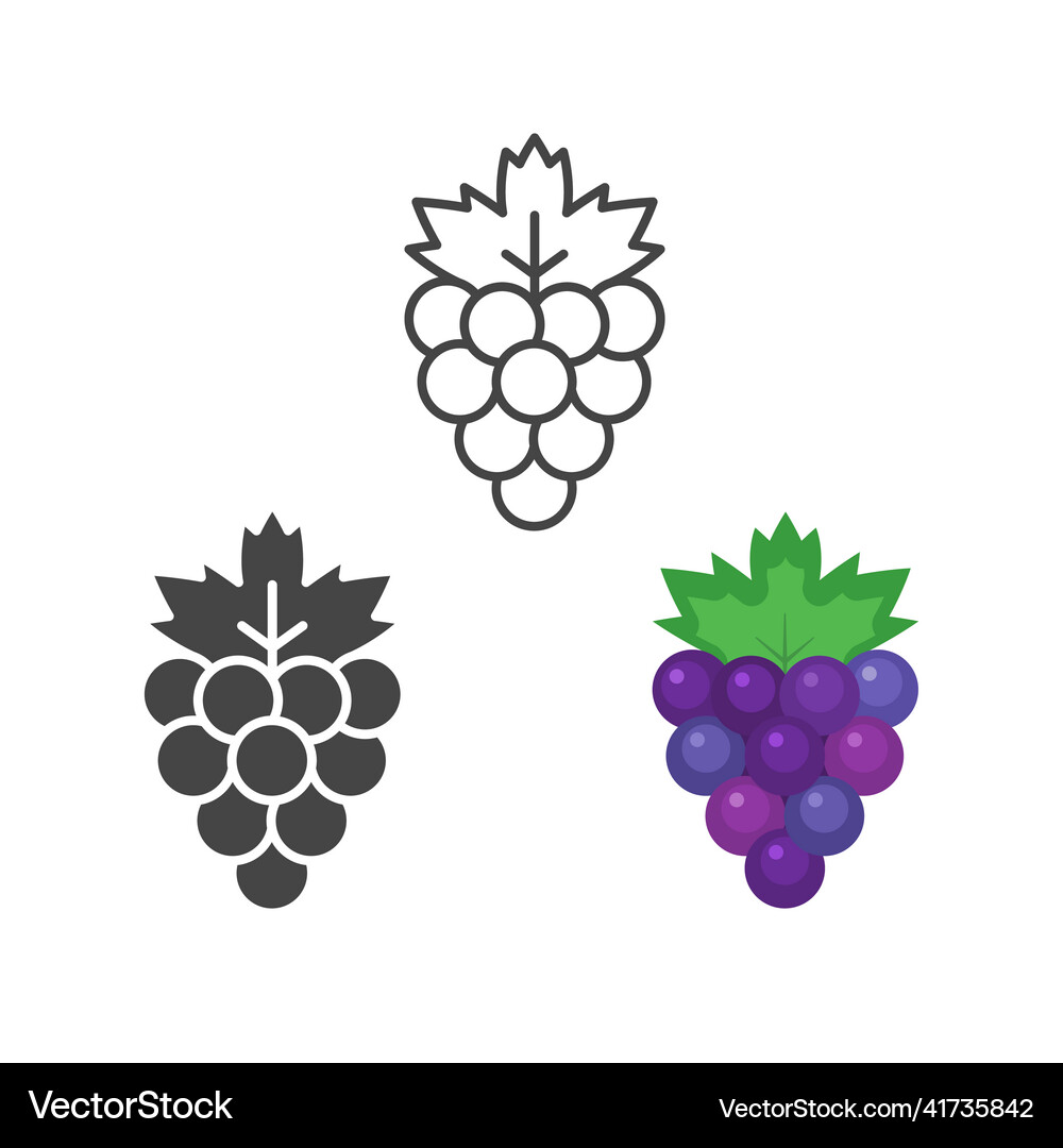 Grape icon set grapes symbol isolated on white Vector Image