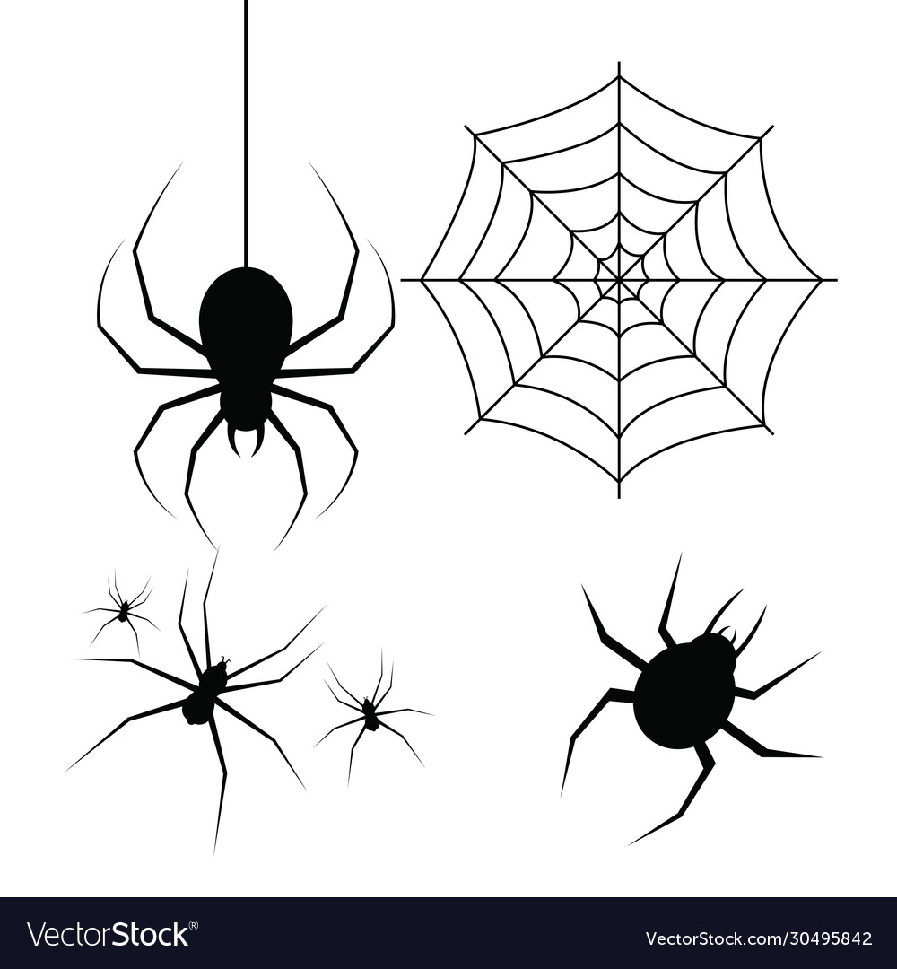 Spider set Royalty Free Vector Image - VectorStock