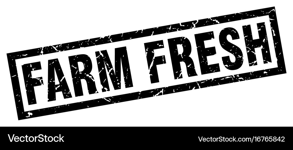 Square grunge black farm fresh stamp Royalty Free Vector