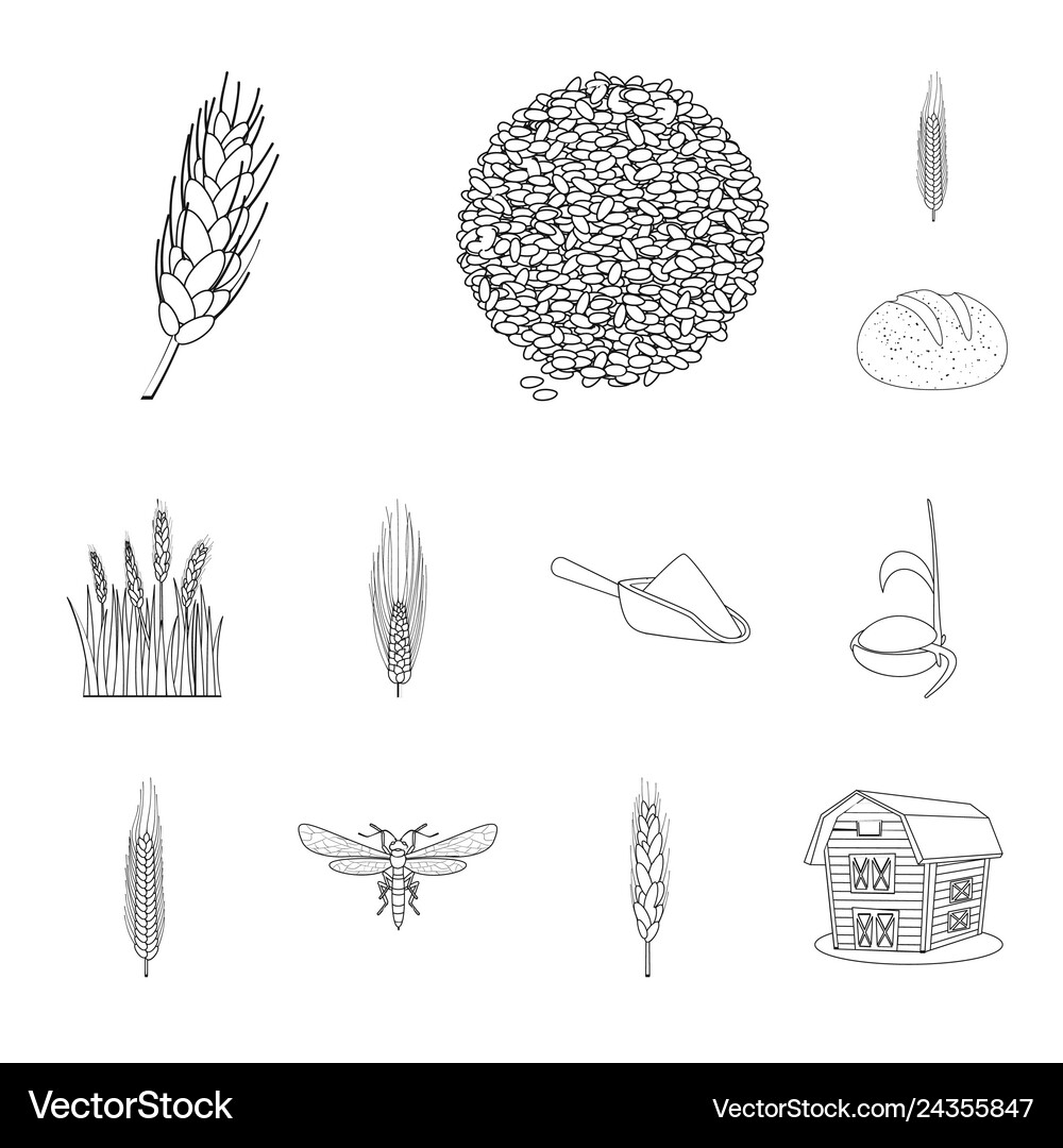 Agriculture and farming Royalty Free Vector Image