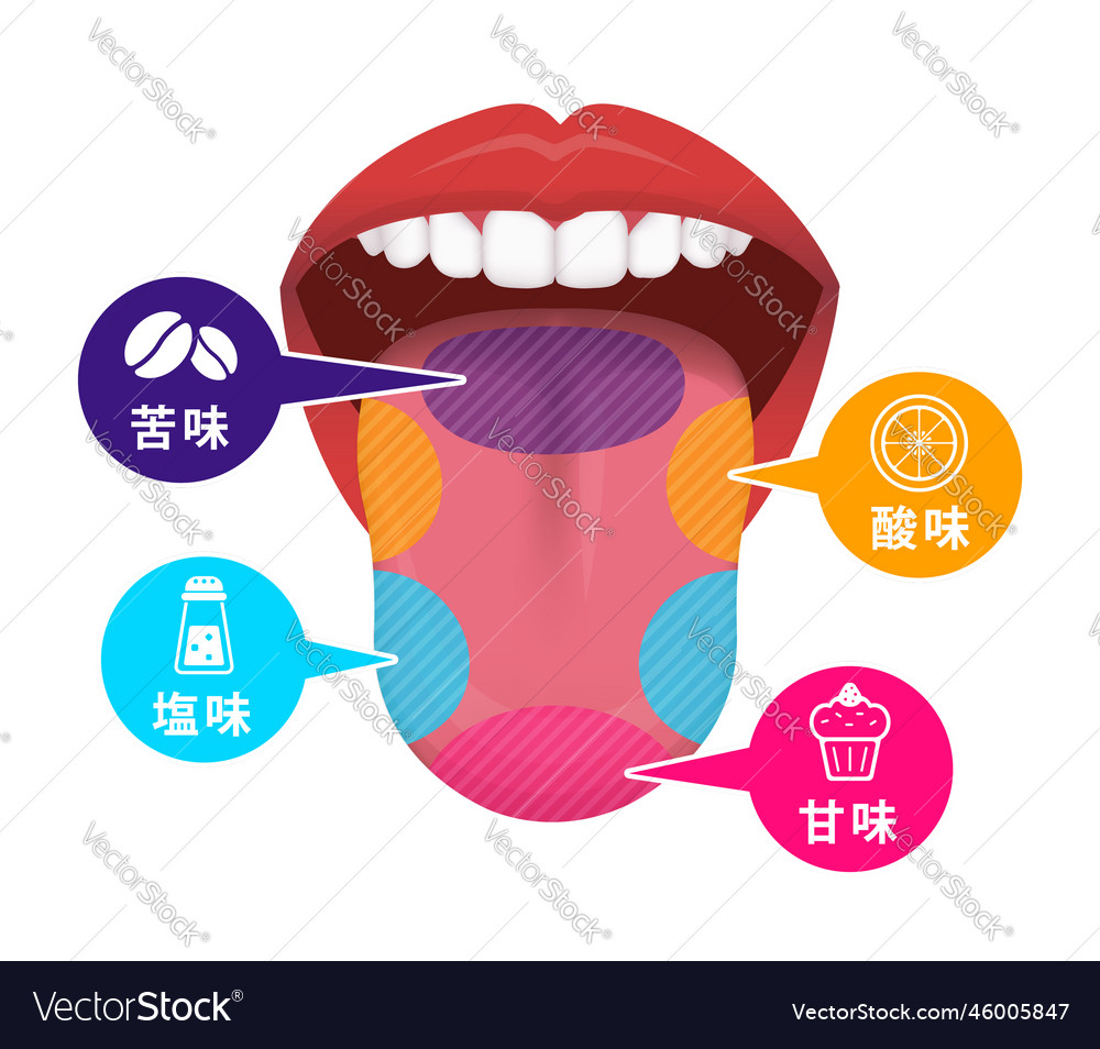 Taste Bud Sections Map Taste Buds Tongue Royalty Free Images, Stock