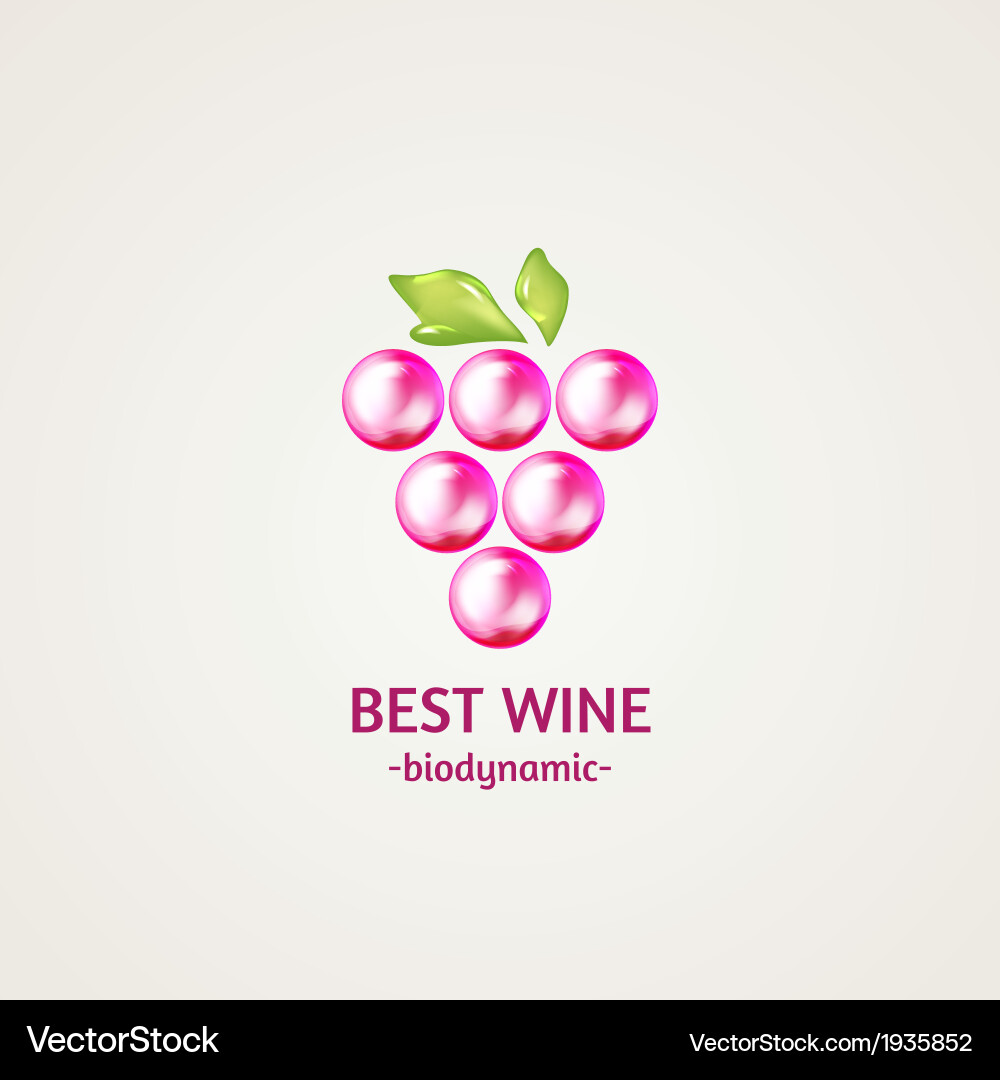 Colored glossy and shiny winery sphere icon Vector Image