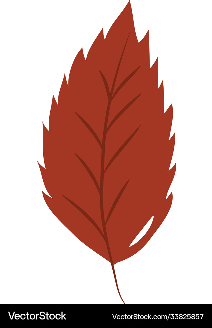 Autumn leaves concept elm leaf icon flat style Vector Image