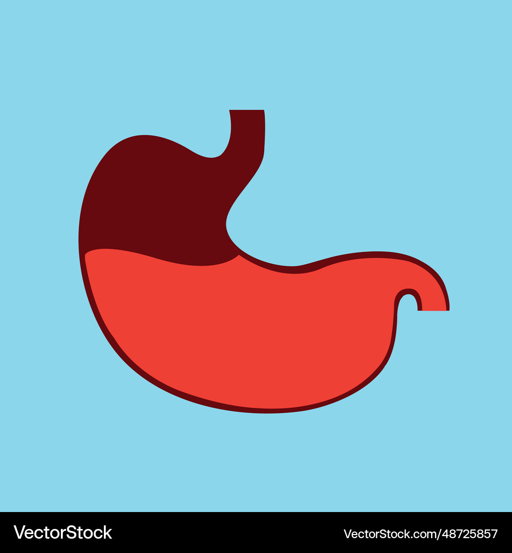 Human stomach icon digestive system anatomy Vector Image
