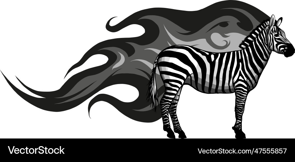 Monochrome african zebra with flames Royalty Free Vector