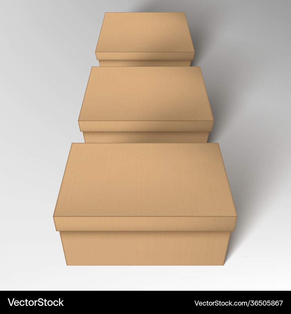 Brown cardboard box with shadow isolated on white Vector Image