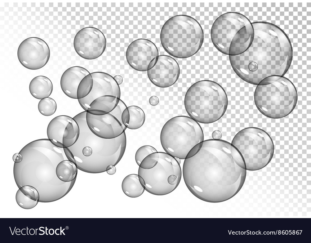 Bubbles on transparent background Royalty Free Vector Image