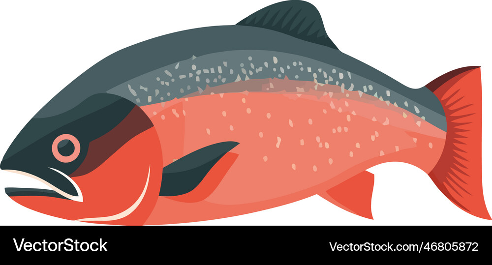 Cute fish icon swimming nature Royalty Free Vector Image