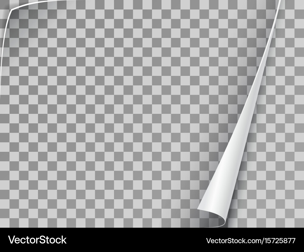 Curled corner of paper Royalty Free Vector Image