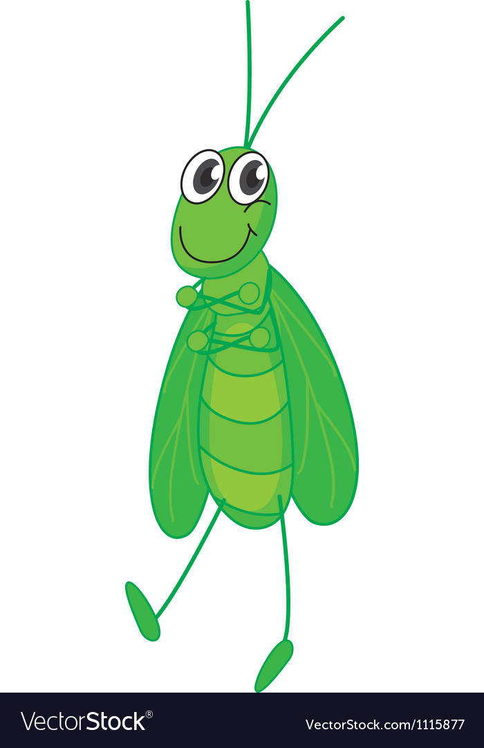 Grasshopper Royalty Free Vector Image - VectorStock Grasshopper Royalty Free Vector Image - VectorStock