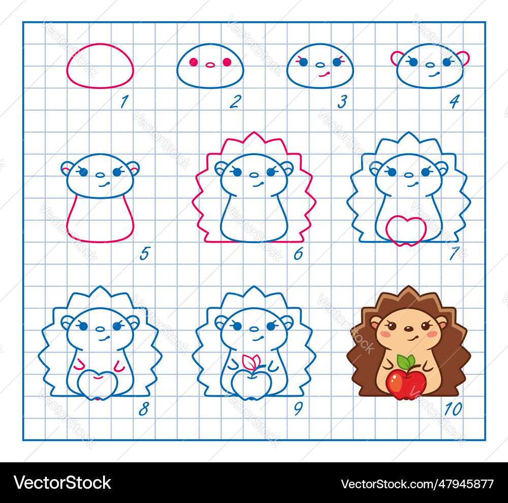 How to draw hedgehog step by step lesson for kids Vector Image