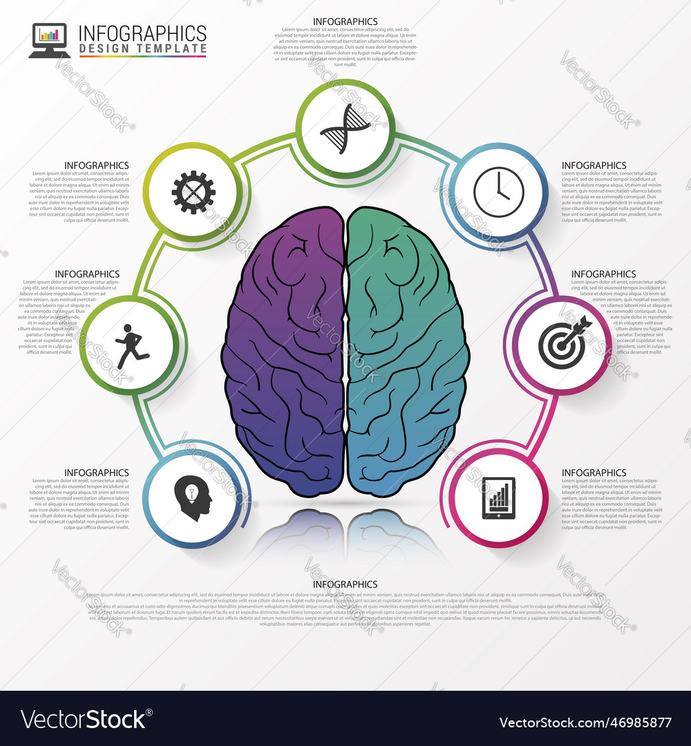 Infographics template with brain modern design Vector Image