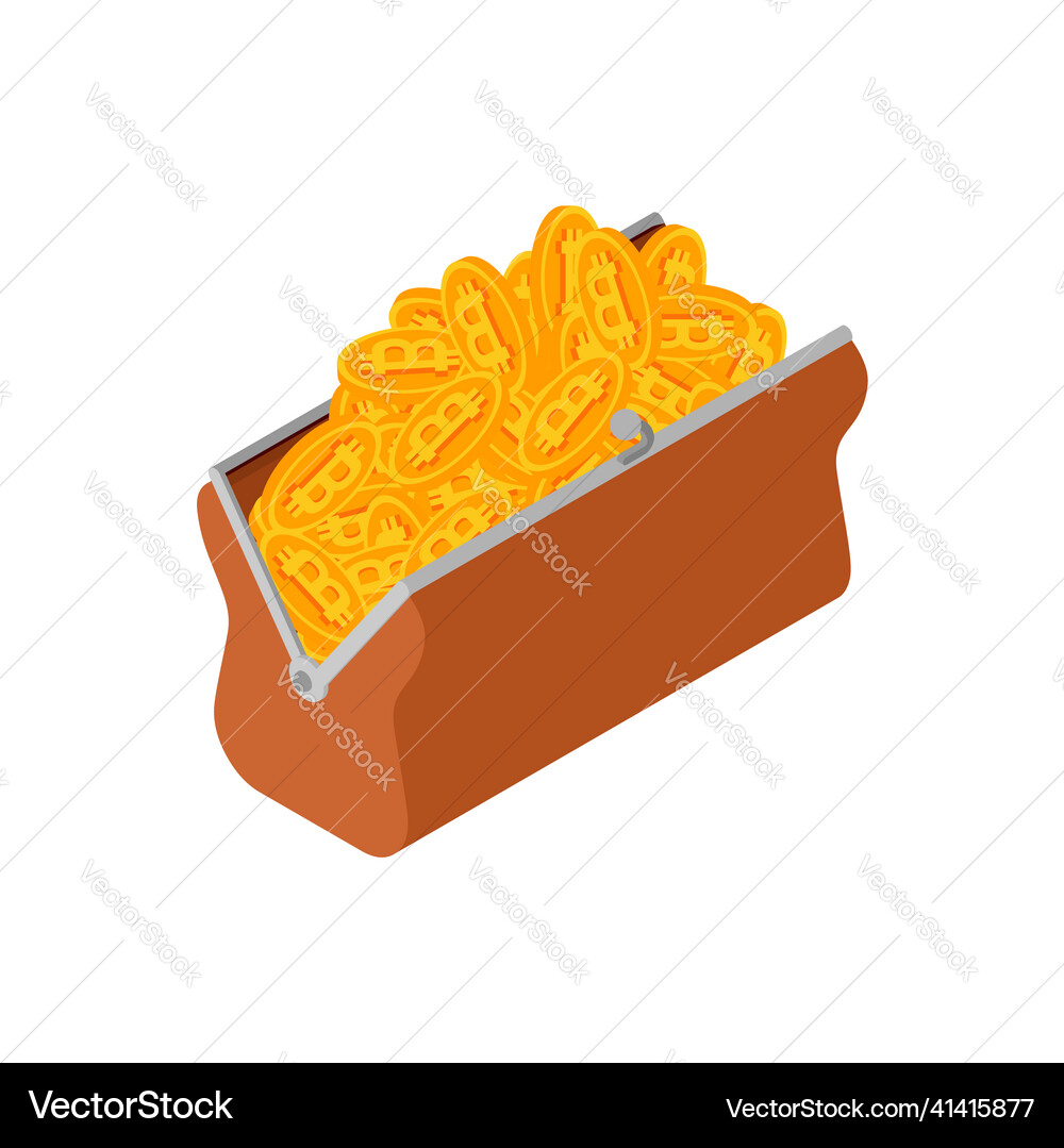 Retro wallet with bitcoin cryptocurrency stock Vector Image