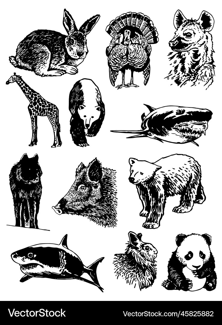 Graphical set of animals isolated on white Vector Image