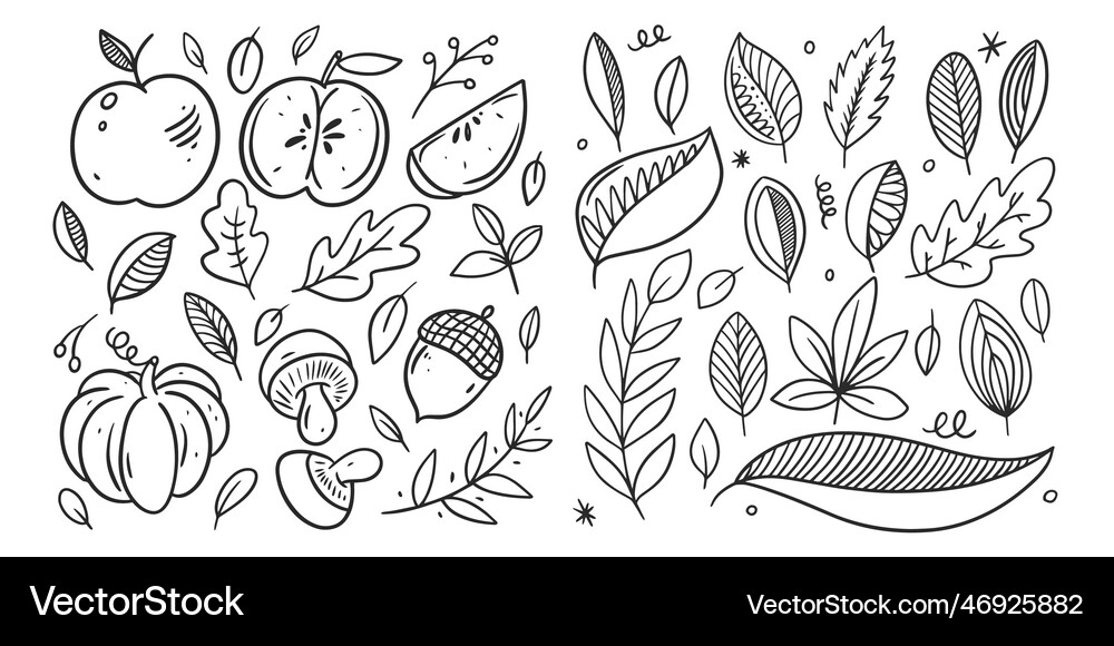 Hand drawn line art autumn fall doodle set Vector Image