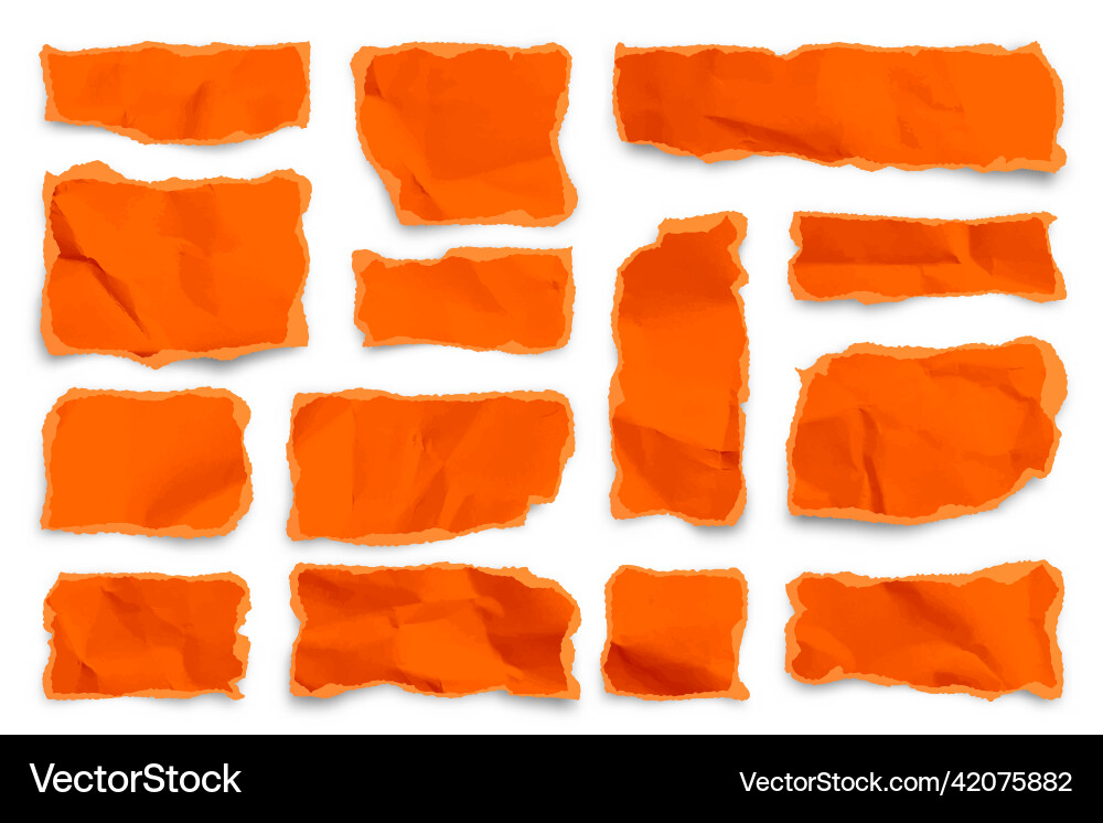 Orange ripped paper strips on white background Vector Image