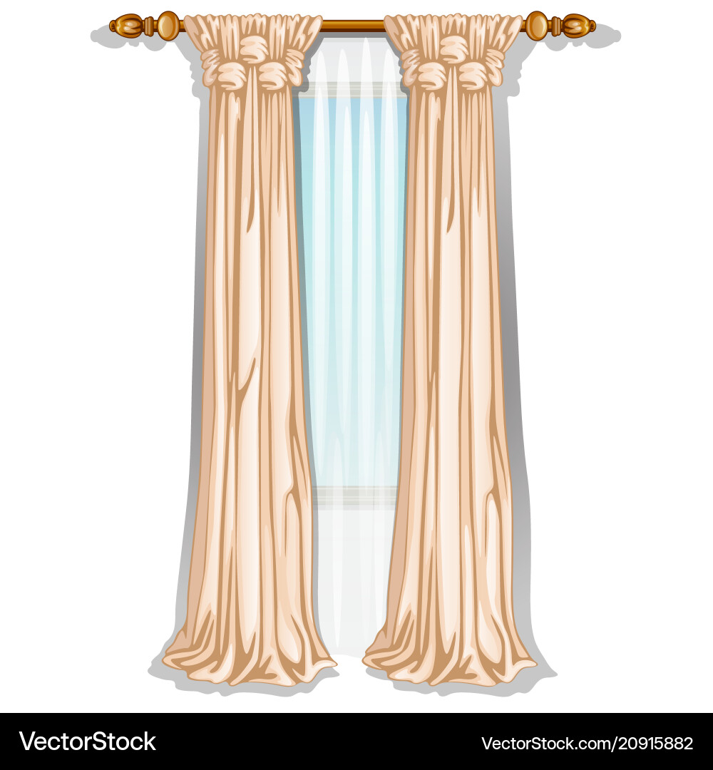 Ornate curtain in the interior Royalty Free Vector Image