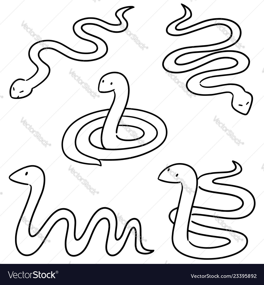 Set of snakes Royalty Free Vector Image - VectorStock