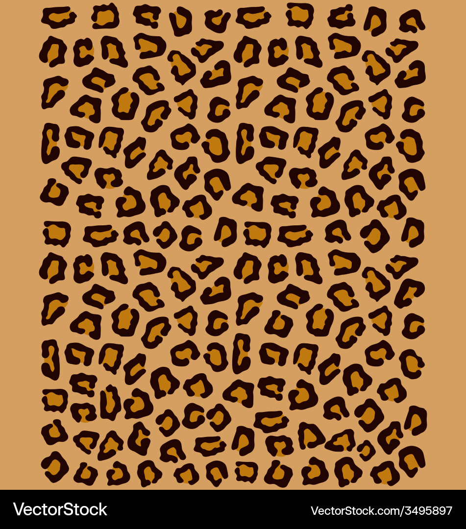 Skin of leopard Royalty Free Vector Image - VectorStock