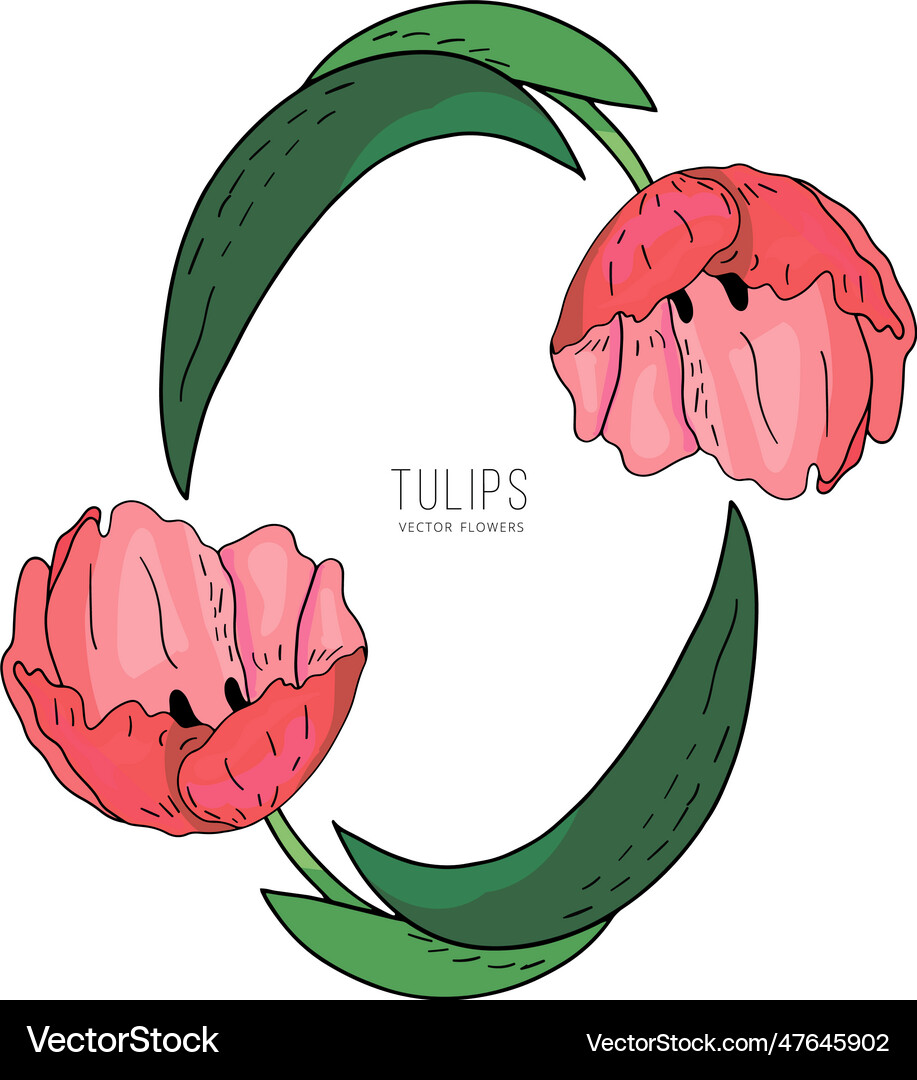 Hand drawn floral frame with red flowers Vector Image