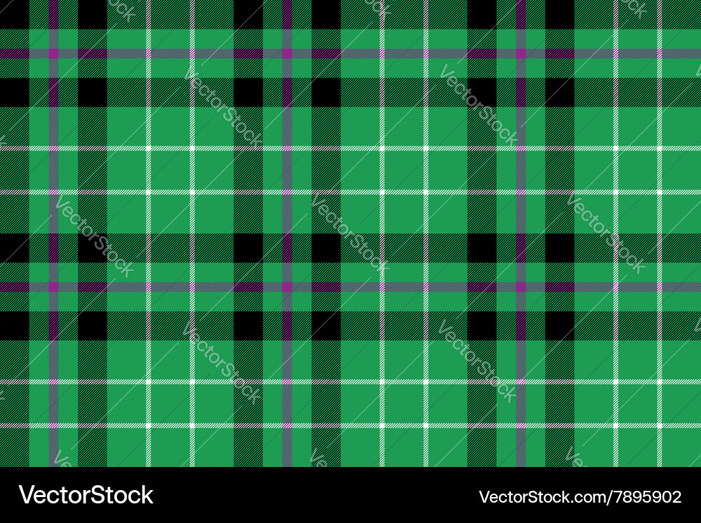Hibernian fc tartan fabric textile check pattern Vector Image
