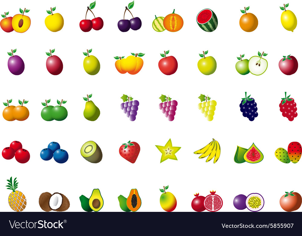 Fruit set Royalty Free Vector Image - VectorStock