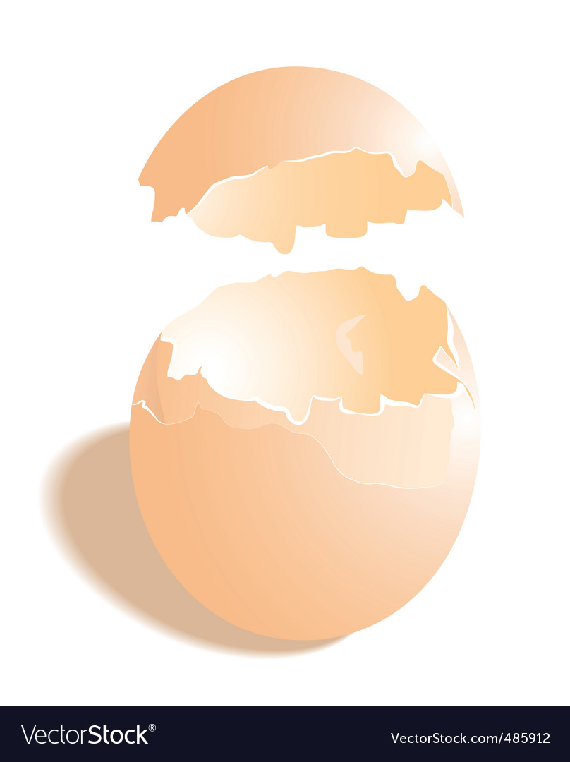 Egg Royalty Free Vector Image - VectorStock