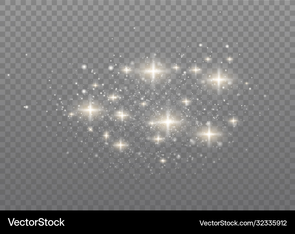 Sparkling dust particles Royalty Free Vector Image