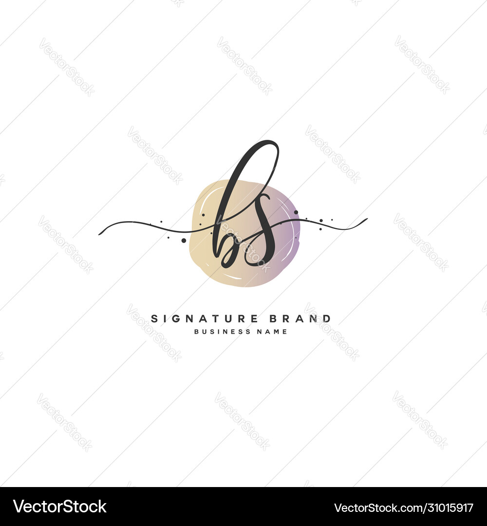B s bs initial letter handwriting and signature Vector Image