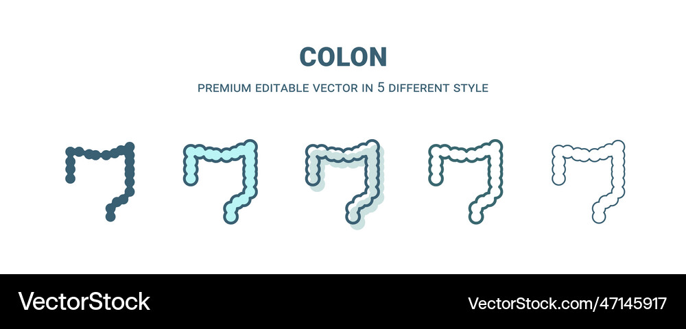 Colon icon in 5 different style outline filled Vector Image