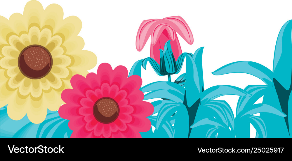 Frame with beautiful flowers leafs nature Vector Image