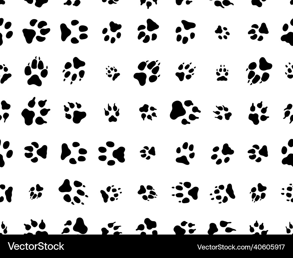 Seamless pattern with footprints of dogs Vector Image