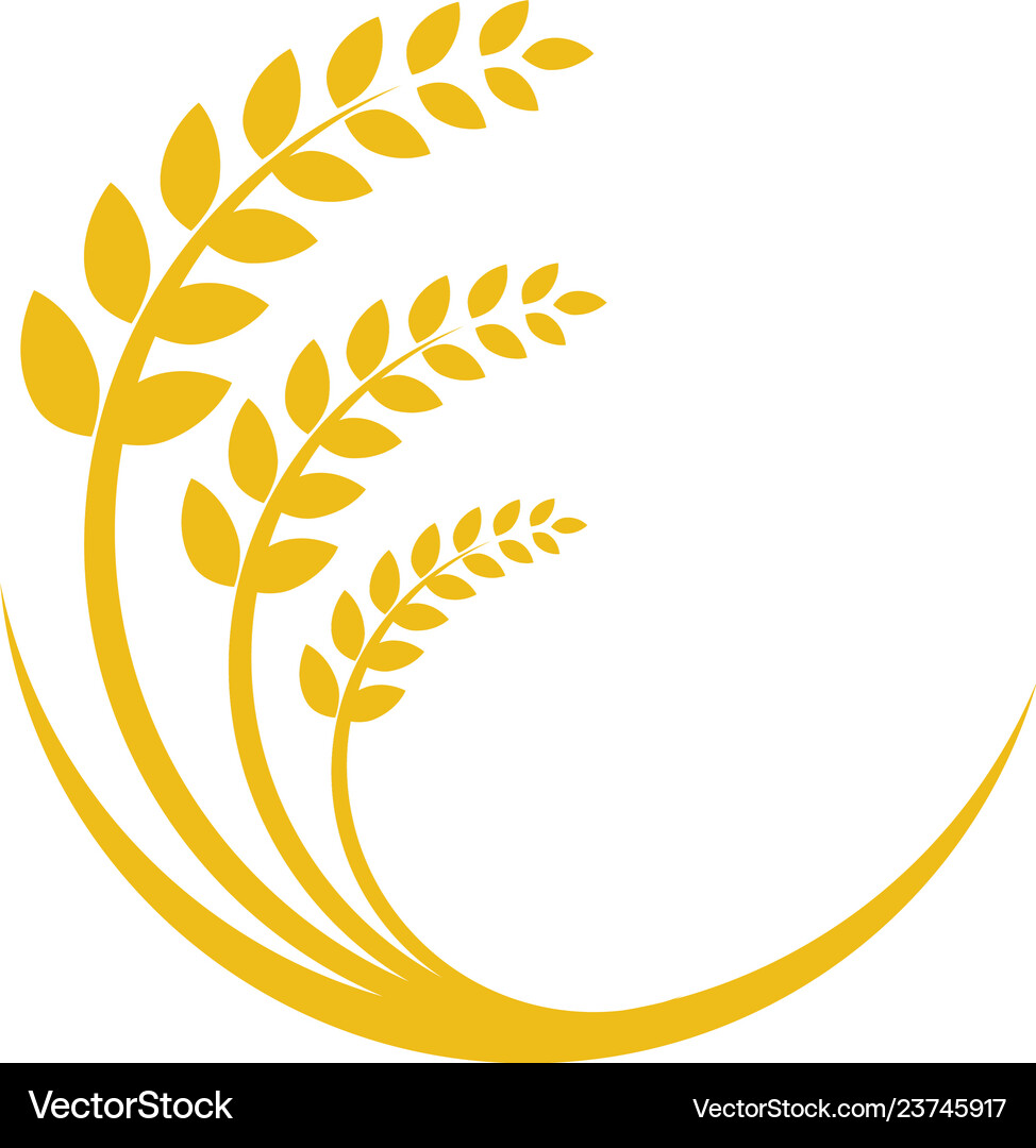 Wheat Field Icon Royalty Free Vector Image - VectorStock