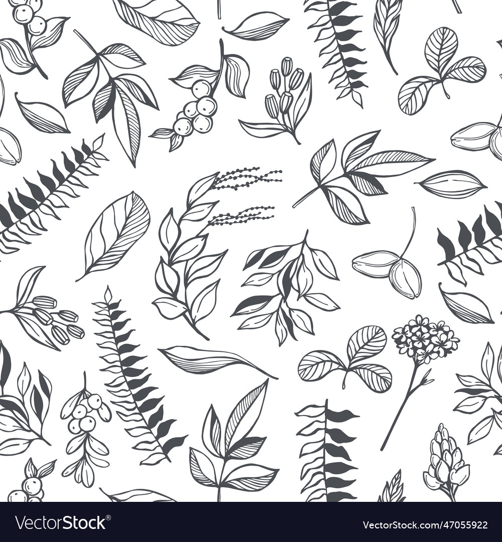 Botanical pattern Royalty Free Vector Image - VectorStock
