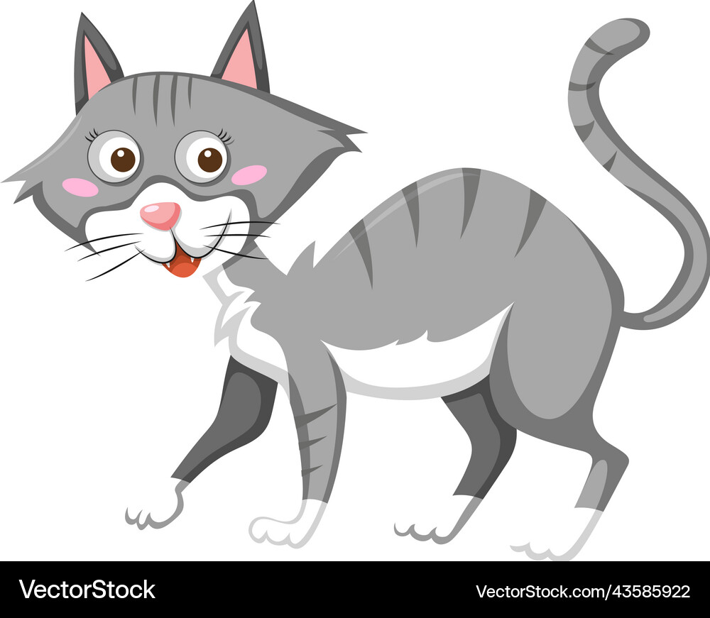 Feline cat in cartoon style Royalty Free Vector Image