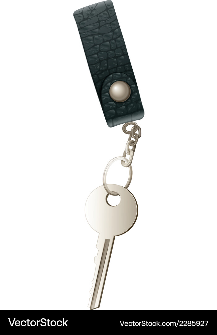 A topview of key with keychain Royalty Free Vector Image