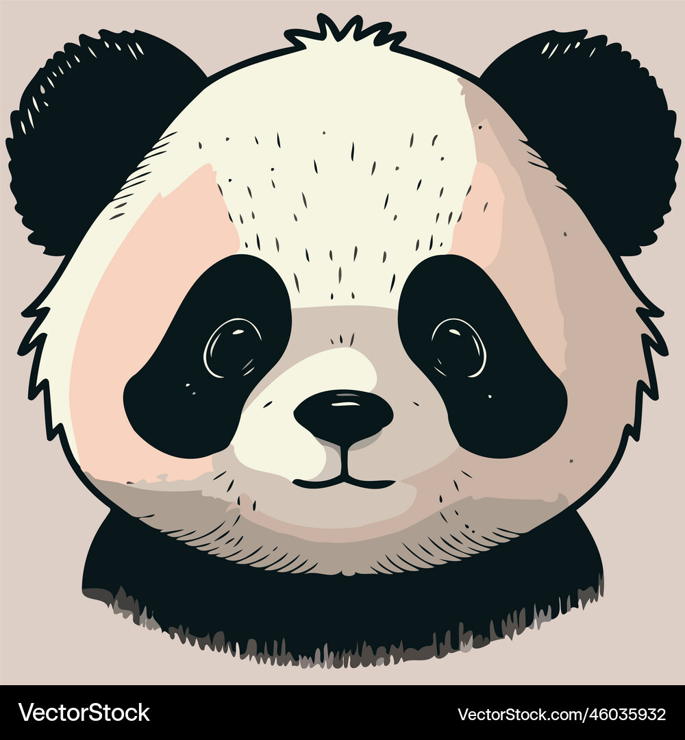 Common panda bear mammal animal face Royalty Free Vector