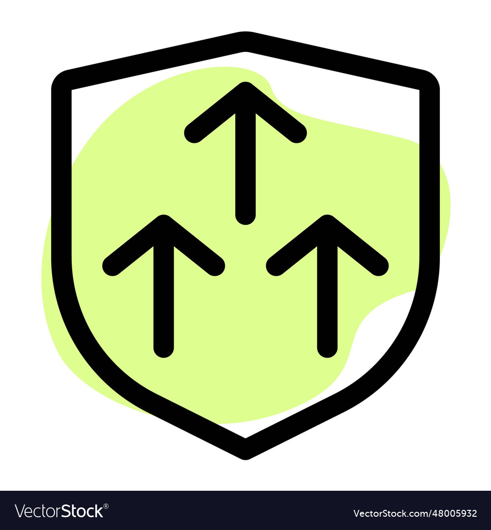 Data security with enhanced cyber shield Vector Image