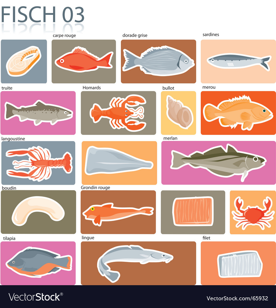 Fish Royalty Free Vector Image - VectorStock