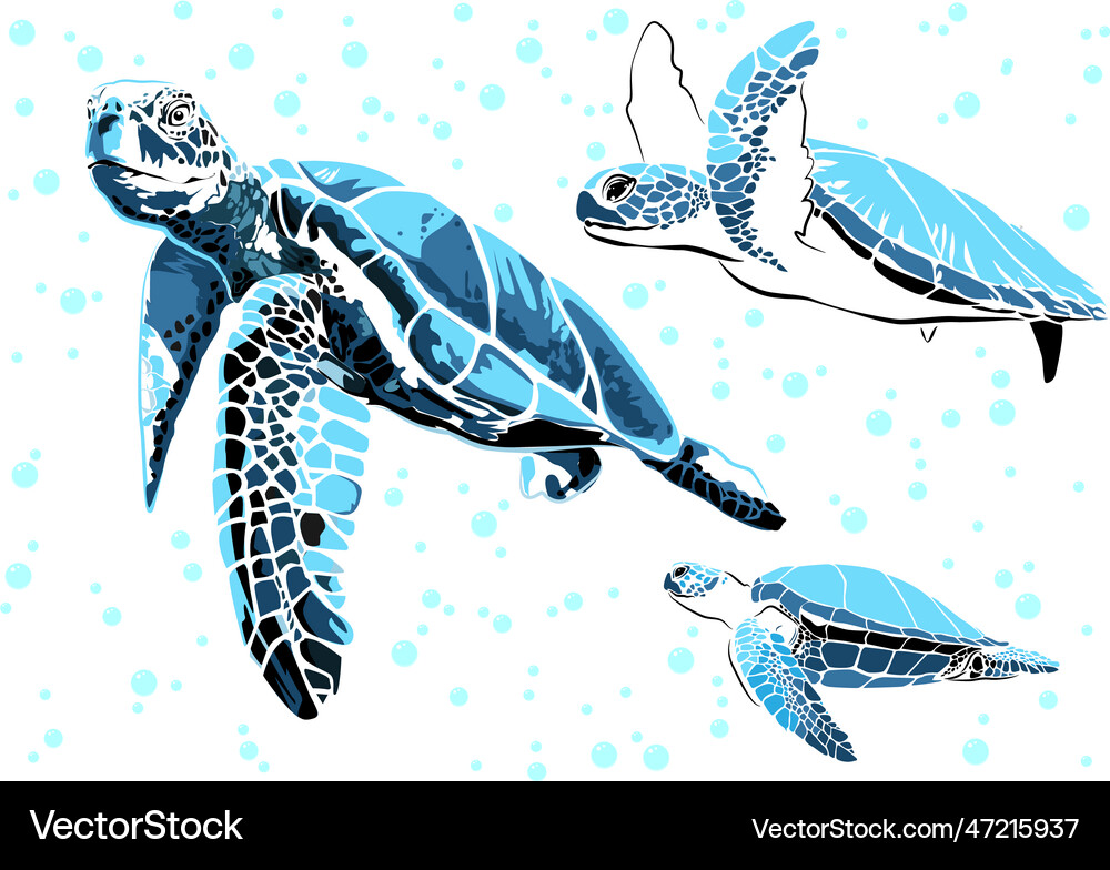 Turtle of design on a white background Royalty Free Vector