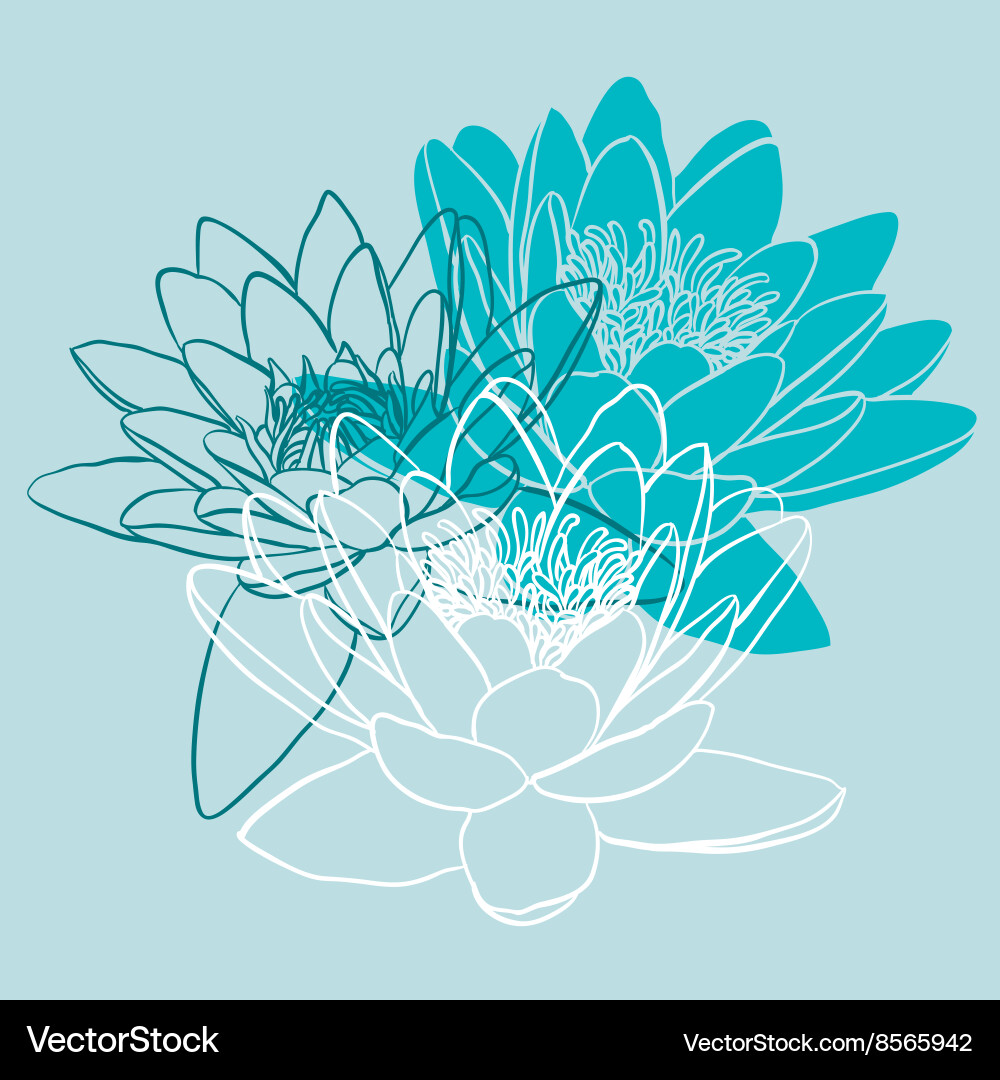 Floral background with water lily Royalty Free Vector Image