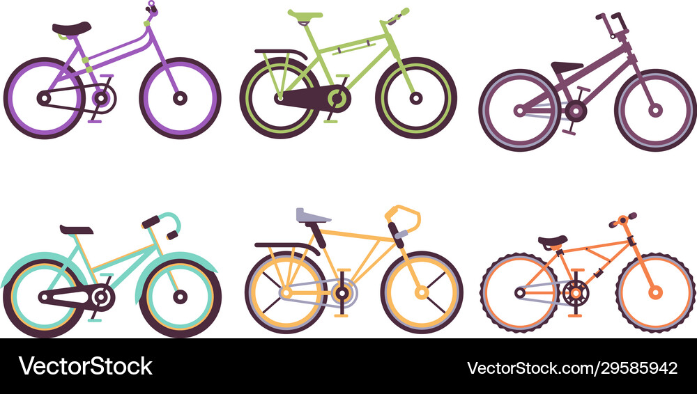 Various bicycles collection bikes with different Vector Image