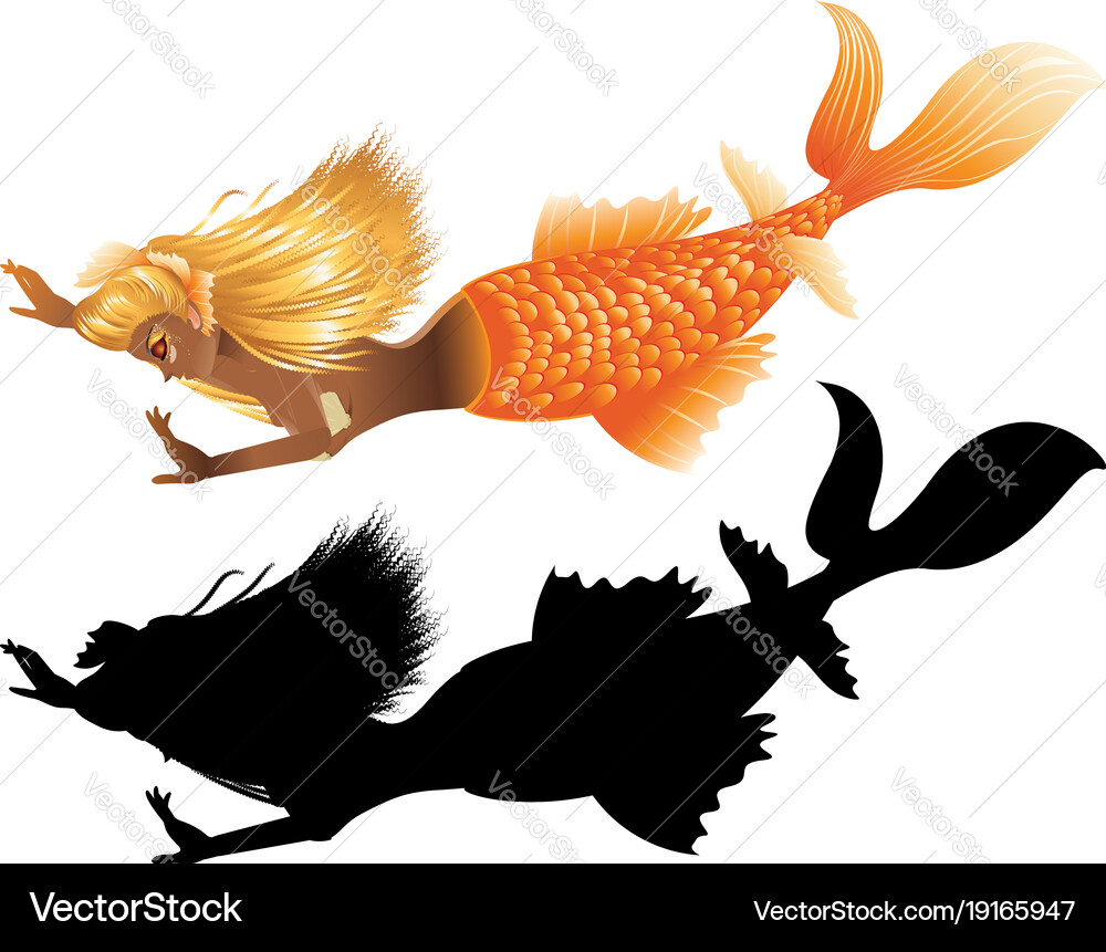 Fish That Looks Like A Mermaid