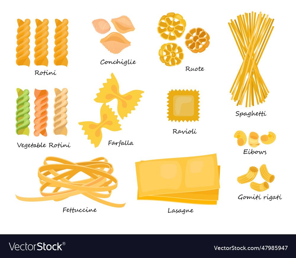 Macaroni types set Royalty Free Vector Image - VectorStock