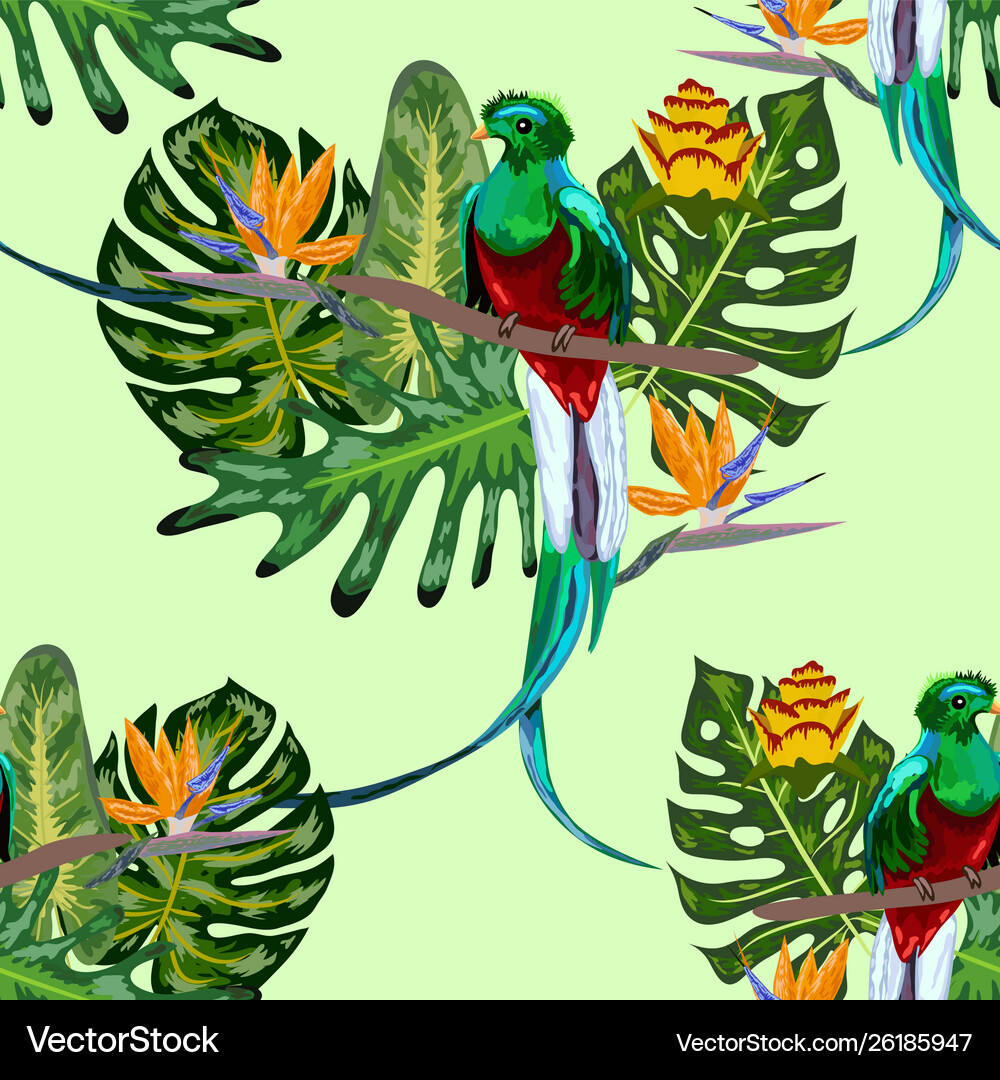 Seamless pattern endangered species birds Vector Image