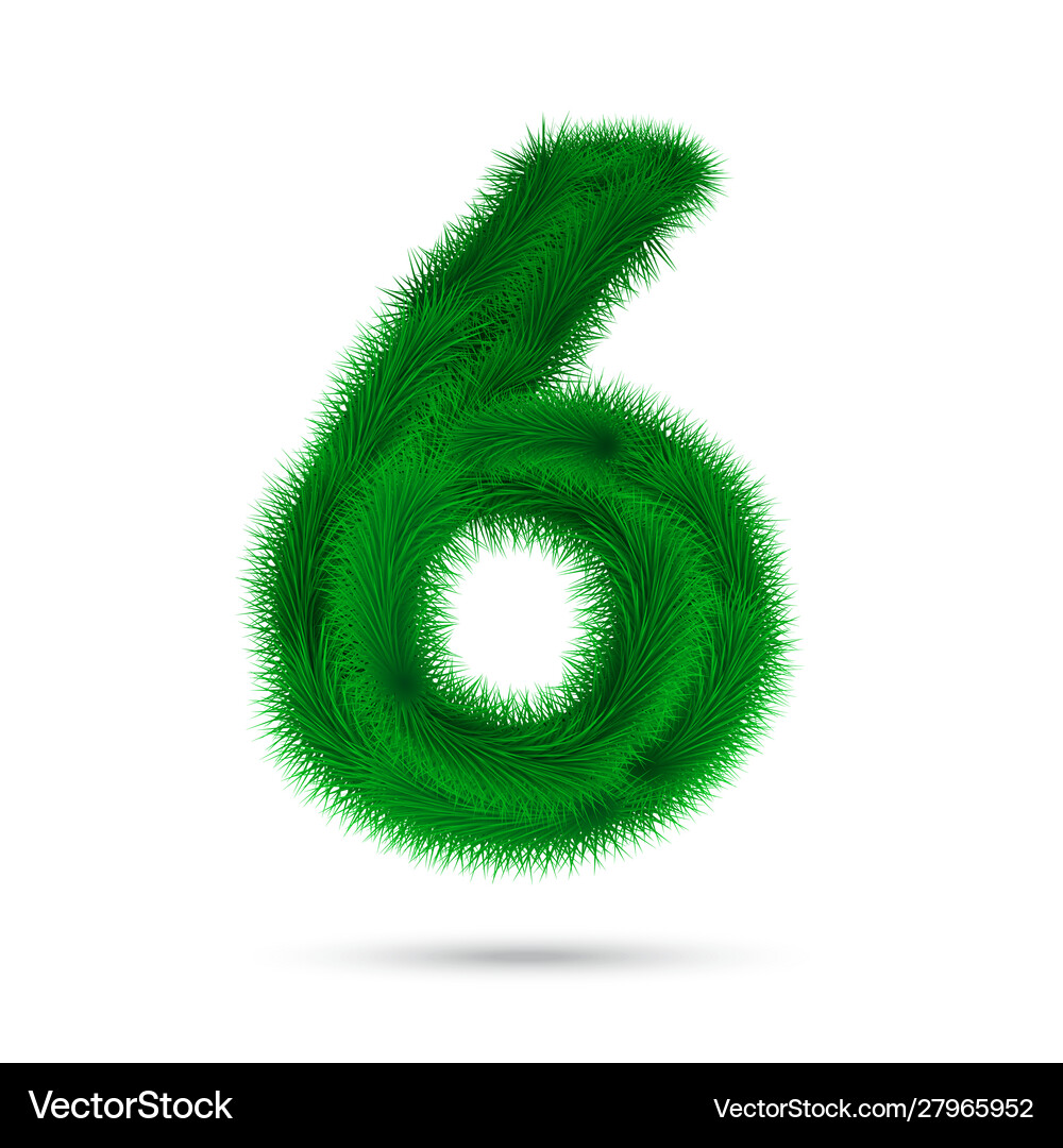 Decorative number fir tree isolated on white Vector Image