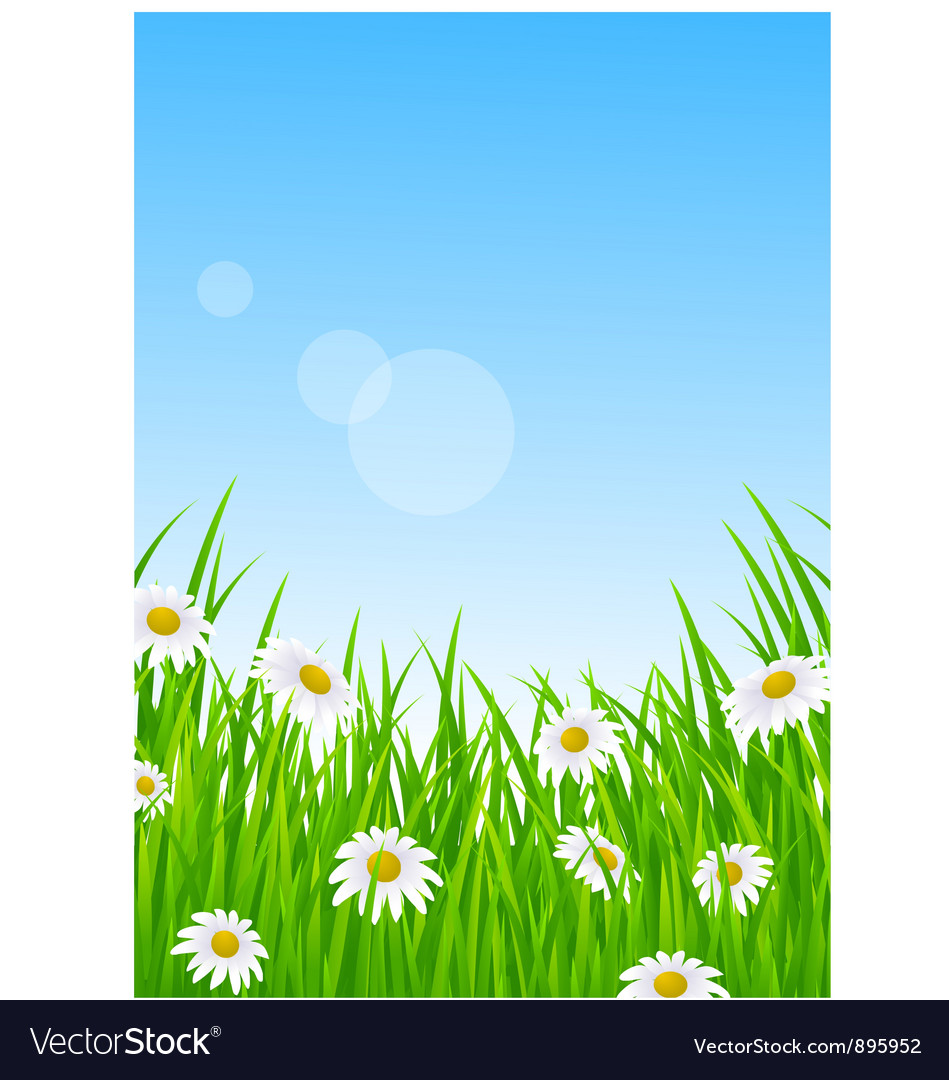 Grass background Royalty Free Vector Image - VectorStock