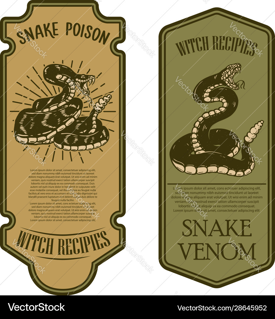Halloween snake poison bottle label template Vector Image